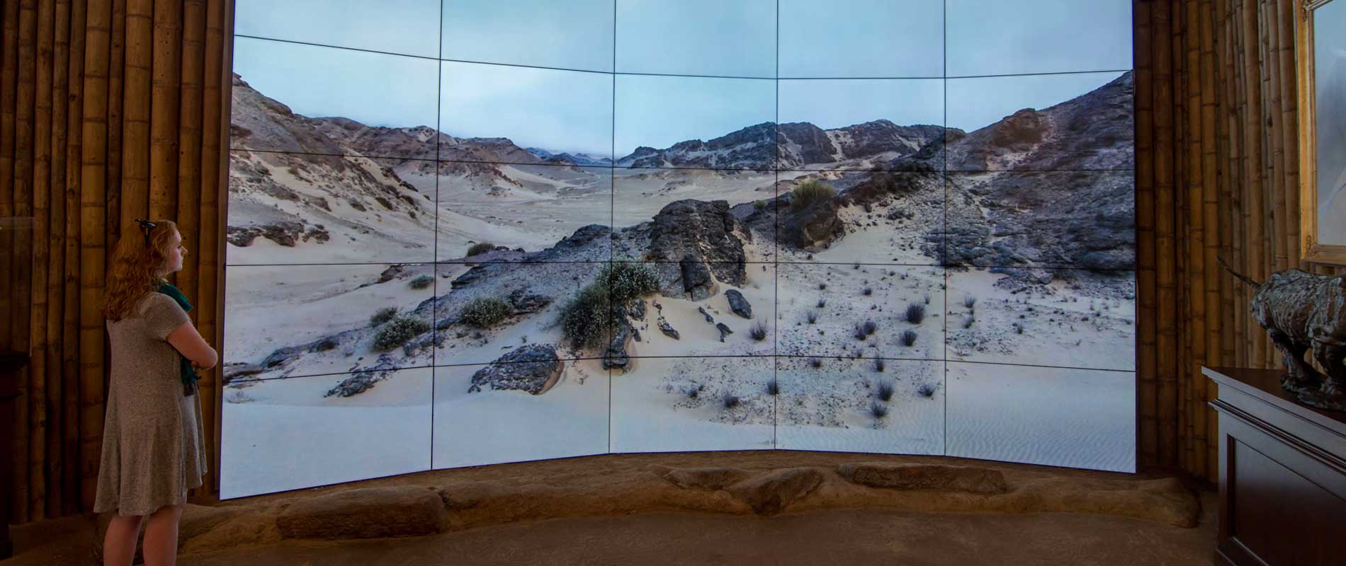 Digital Displays Bring the Wonders of Wildlife Indoors - Samsung ...