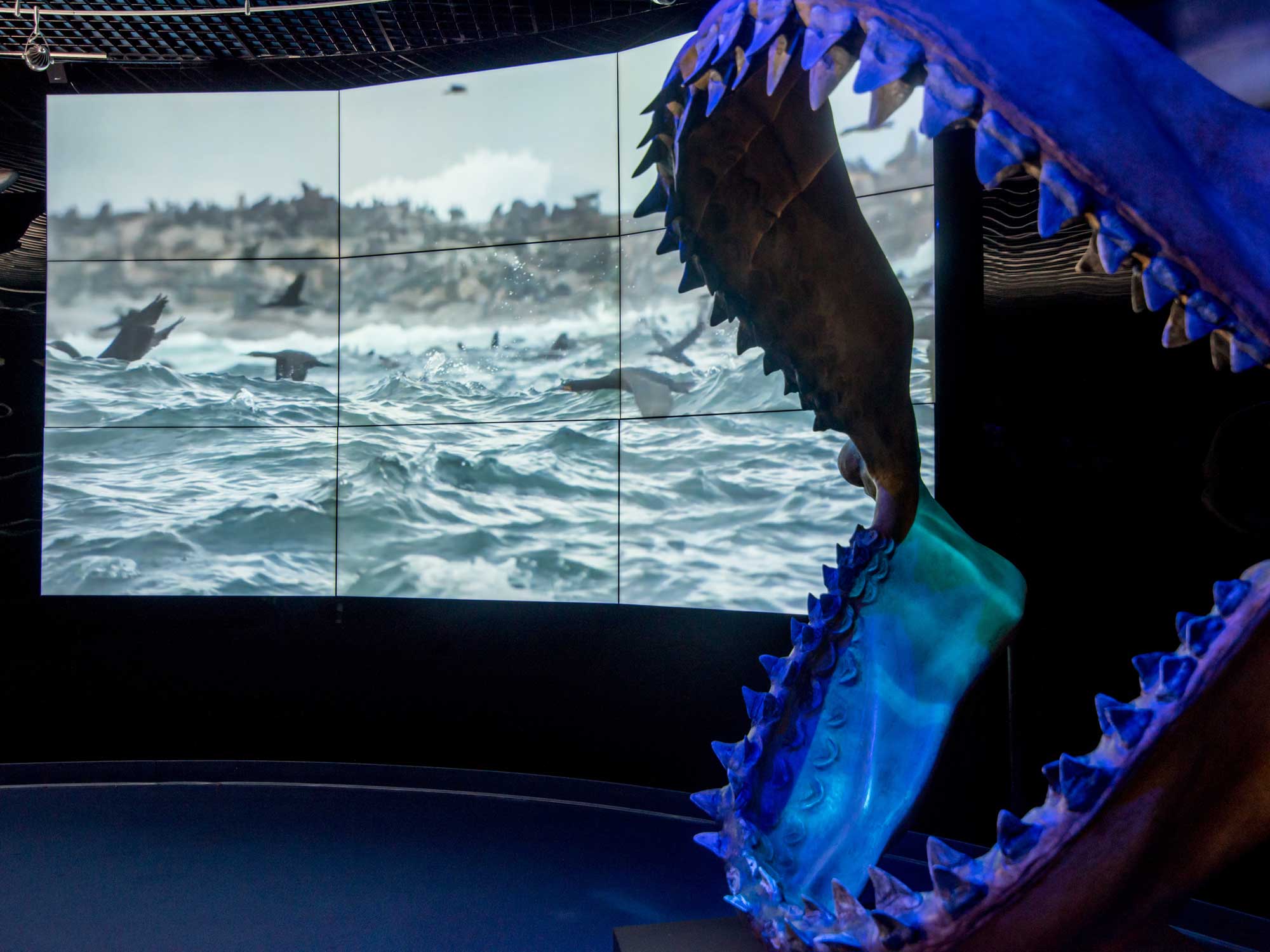 Digital Displays Bring the Wonders of Wildlife Indoors - Samsung ...