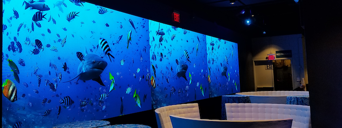 Samsung's IF Series display transforms indoor experiences