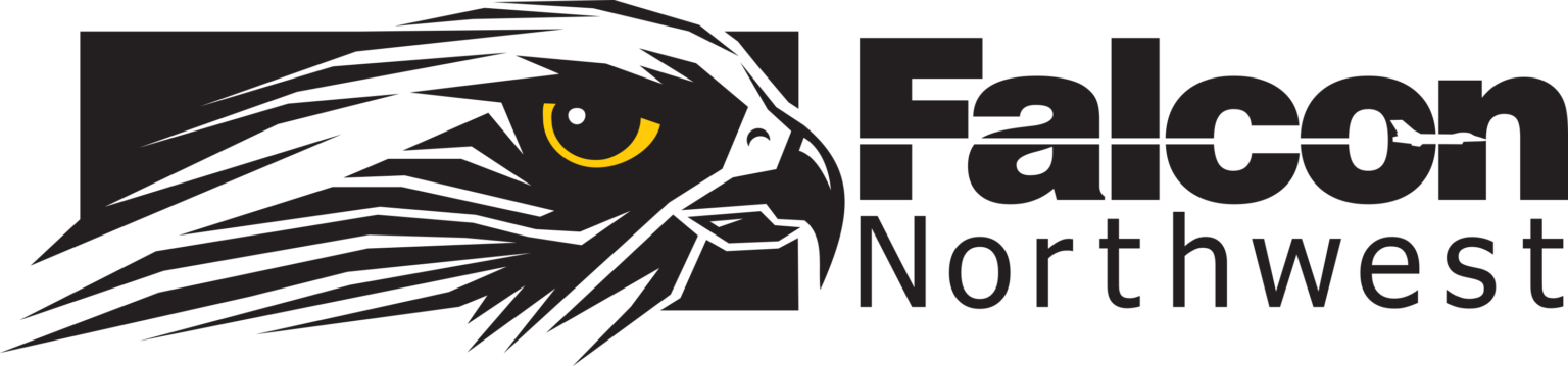 Falcon Northwest soars in gaming industry with Samsung SSDs - Samsung ...